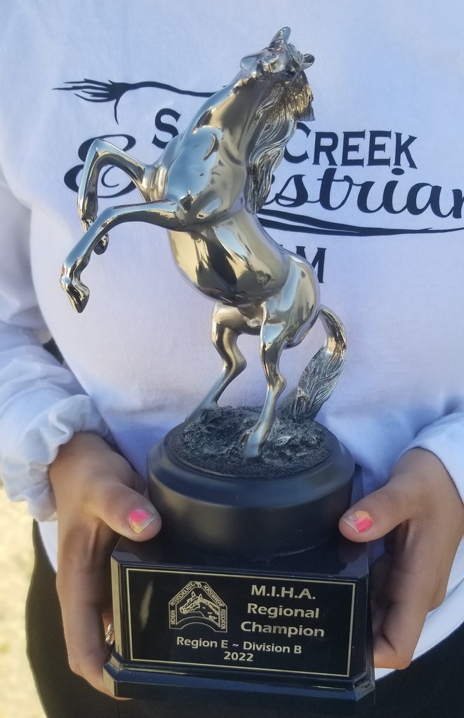 Live Feed | Sand Creek Community Schools